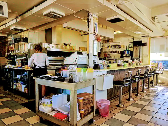 The diner counter—where strangers become friends and everyone has an opinion on the best way to eat hash browns. Democracy in action.