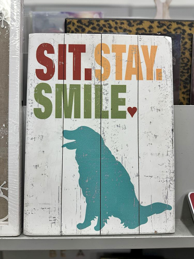 "Sit. Stay. Smile." Even the wall art has personality here—offering life advice that works equally well for dogs and humans.