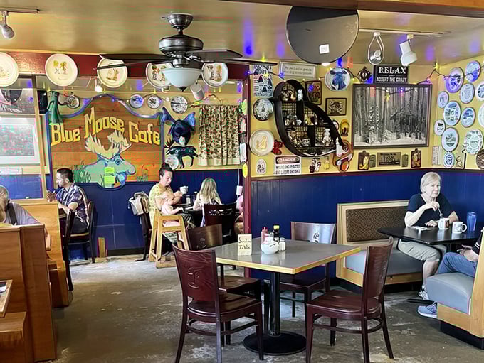 The best diners have that perfect buzz of conversation, coffee brewing, and grill sizzling – a symphony of comfort that makes you want to linger.