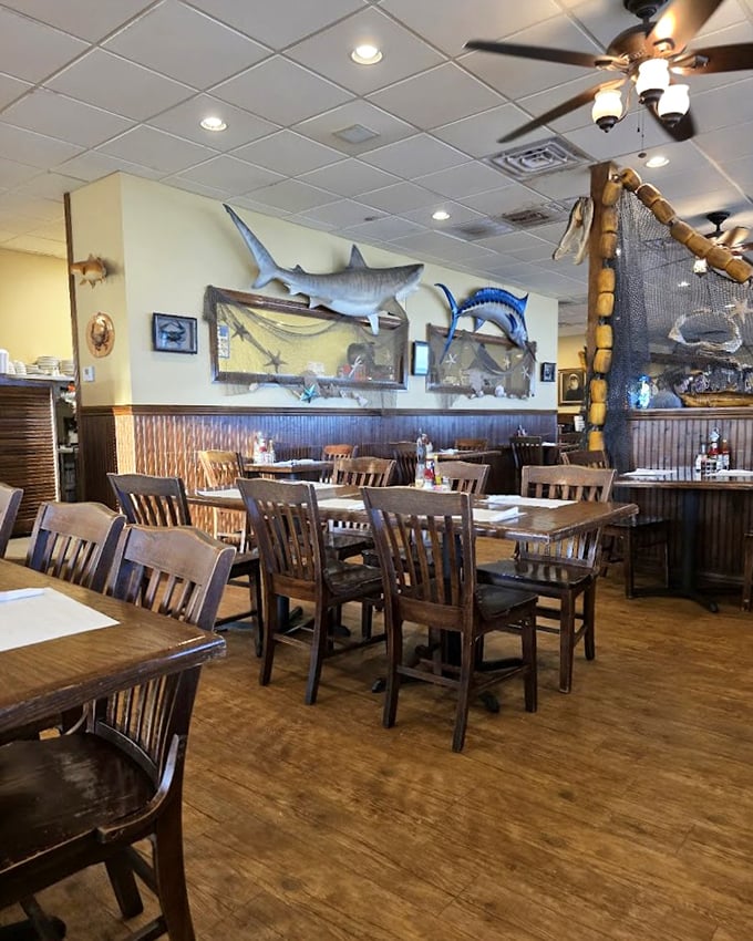 Not just tables and chairs – but front-row seats to seafood excellence. The mounted shark watches approvingly as diners make good choices.