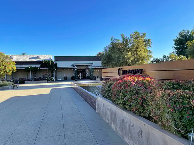 The winery entrance welcomes visitors with a reflecting pool—a moment of Zen before the sensory adventure begins.
