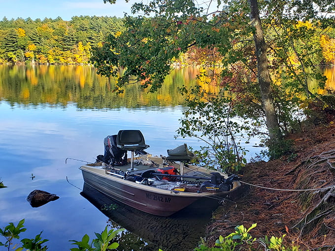 A fisherman's temporary office with the best view in Massachusetts—where "working remotely" takes on an entirely different, more peaceful meaning.