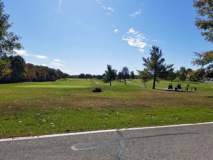 Golf courses are nature's compromise with civilization—manicured wilderness where the only predators are sand traps and water hazards.