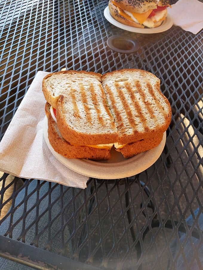 Another grilled sandwich waiting to be devoured—its perfectly toasted exterior promising the comfort of melted cheese hiding within like a delicious secret.
