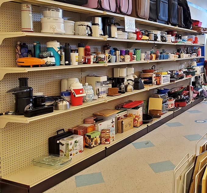 Small appliances and kitchen gadgets line the shelves like a museum of domestic evolution—from percolators to pod machines.