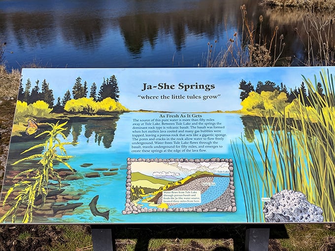 Educational signage that doesn't lecture—Ja-She Springs reveals its secrets through art and science, making learning as refreshing as the water itself.