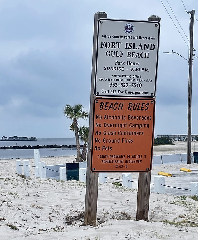The beach rules sign—Florida's version of "look both ways before crossing." Simple guidelines for keeping paradise exactly as you found it.