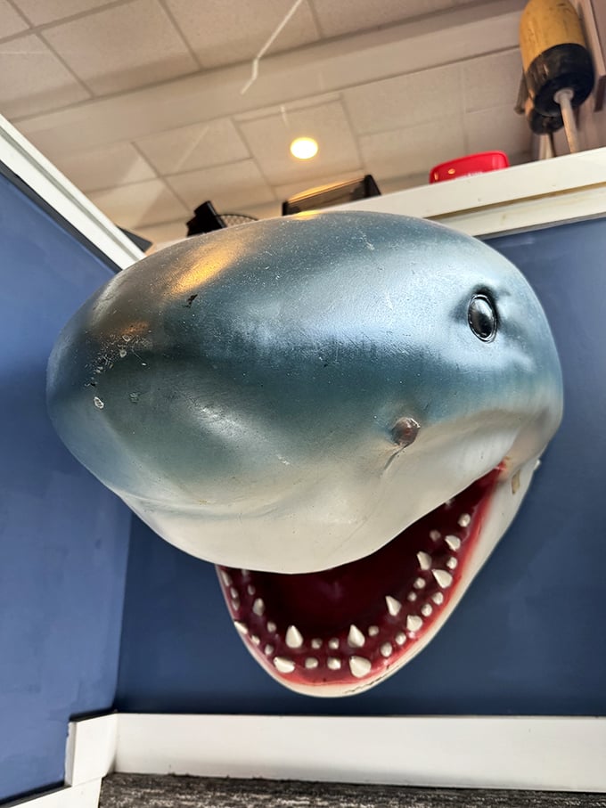 That shark isn't guarding the kitchen—he's just making sure you save room for dessert. Nautical kitsch at its finest in this seafood sanctuary.