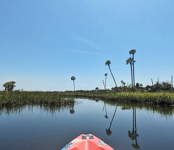 Paddle through paradise – kayaking these pristine waters offers a turtle's-eye view of the same landscapes that sustained indigenous communities for thousands of years.