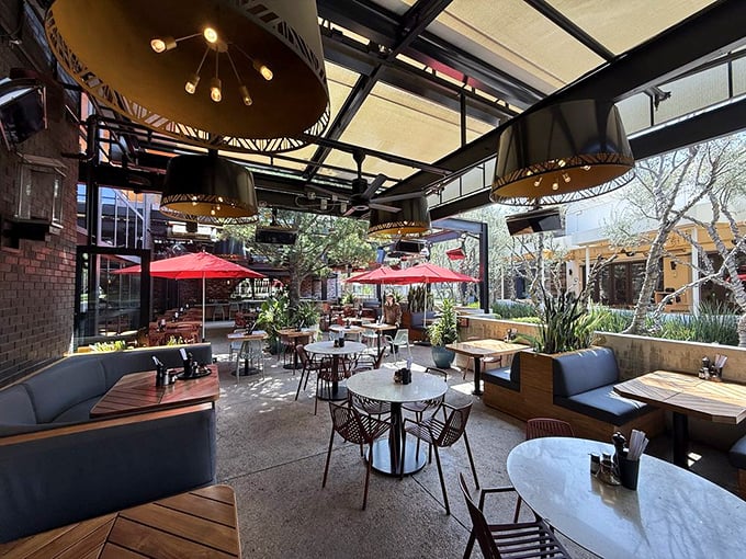 The outdoor patio strikes that perfect SoCal balance—enough shade to be comfortable, enough sunshine to remind you why you live here.