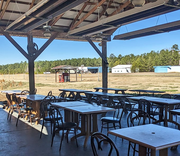 The outdoor patio offers front-row seats to the airfield, where your barbecue feast comes with the bonus entertainment of watching planes come and go.