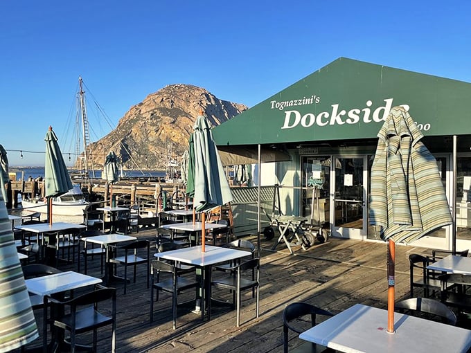 Morning fog lifting, umbrellas unfurled, tables waiting for seafood lovers. Even the seagulls know this is the best spot in Morro Bay.