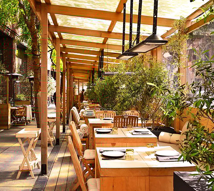 The outdoor patio dappled with golden California light feels like dining in a secret garden that happens to serve incredible Italian food.