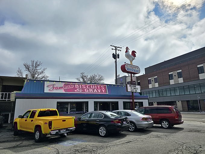 The parking lot—where vehicles of all tax brackets gather in democratic harmony for the pursuit of perfect gravy.