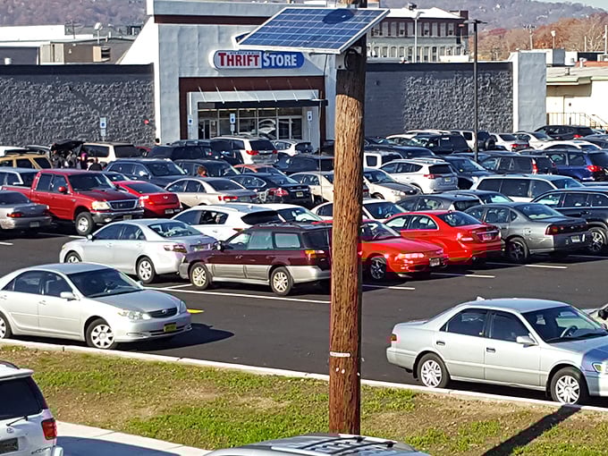 Parking lot packed tighter than a sample sale at Barneys—the universal sign of serious bargains happening inside.