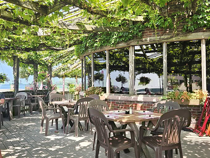Dining under a canopy of vines with lake breezes—nature's air conditioning paired with a side of spectacular views.
