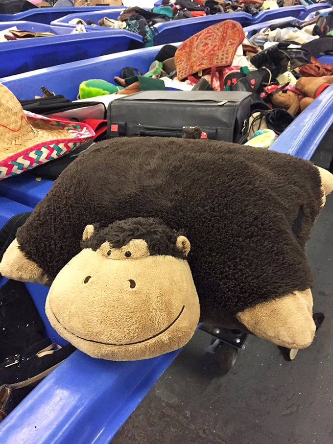 The pillow pet section: where this monkey waits patiently for a new home. His cheerful face has "impulse purchase with zero regrets" written all over it.