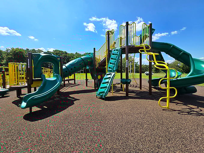 The playground stands ready for tiny explorers, a colorful basecamp where future naturalists can burn energy before hitting the real trails.