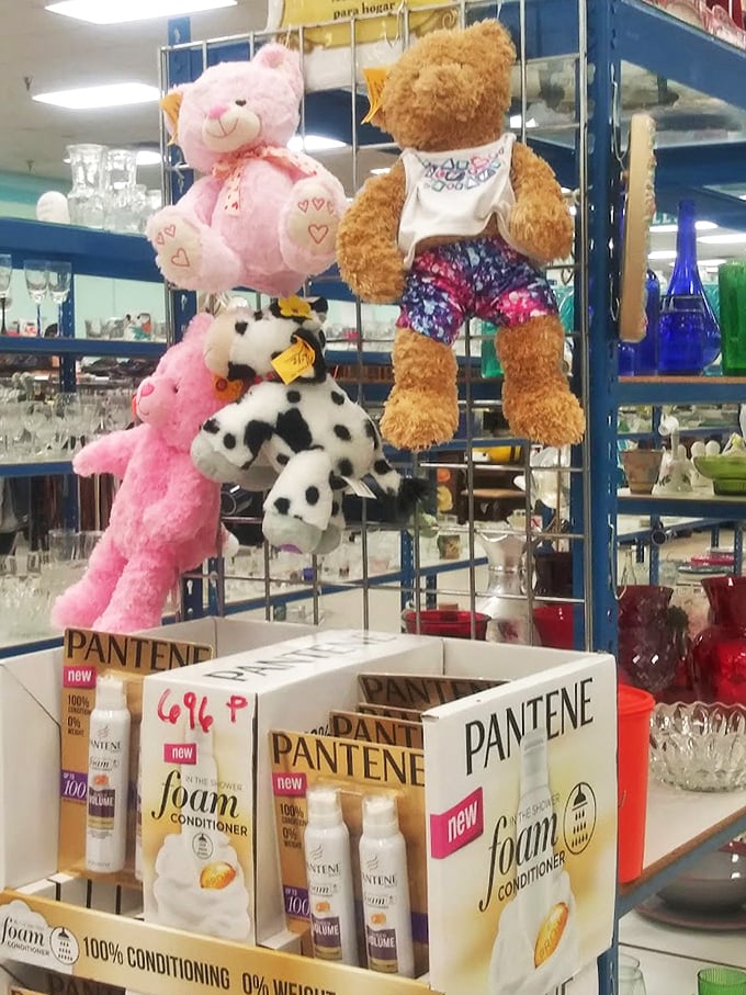 Stuffed animals and hair products—the unexpected retail pairing you never knew you needed. That pink bear has seen things, man.