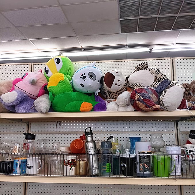 Stuffed animals perched high above watch over the store like plush guardians of secondhand retail paradise.