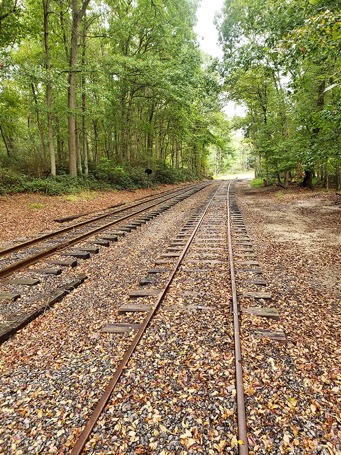 Railroad tracks cutting through the forest offer perspective and possibility. The journey or the destination? At Allaire, you get both.