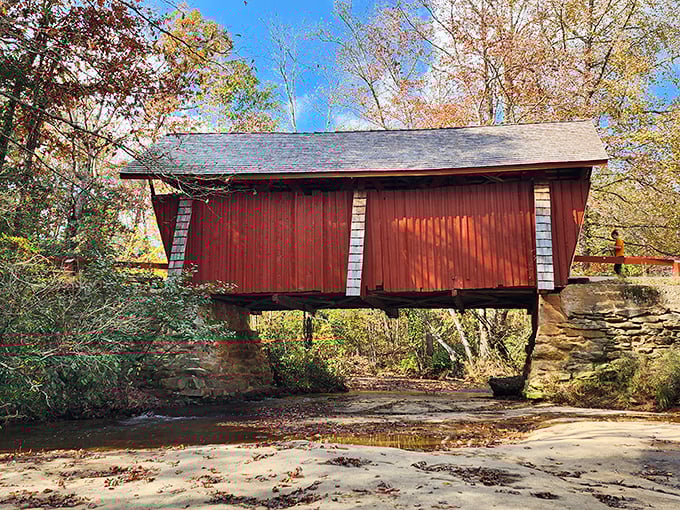 Fall foliage creates a perfect frame for the bridge's classic profile – a scene worthy of the most nostalgic autumn postcard.