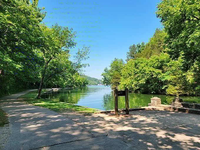 This pathway promises adventures that no smartphone game can replicate. Nature's invitation to explore is written in sunlight and shadow.