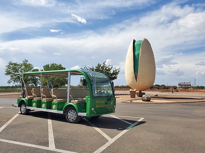 All aboard the pistachio express! This green chariot delivers curious visitors through the orchard for an education in desert agriculture.