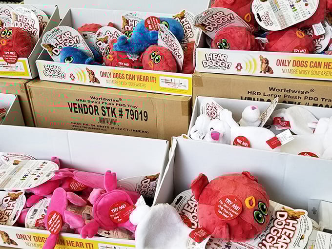 Pet toys galore! Even four-legged family members deserve a bargain. These squeaky treasures prove that saving money doesn't mean skimping on fun.