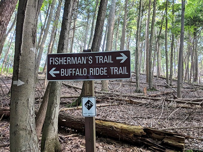 Where Fisherman's Trail meets Buffalo Ridge—life's important decisions sometimes come down to "left or right" and both options look wonderful.