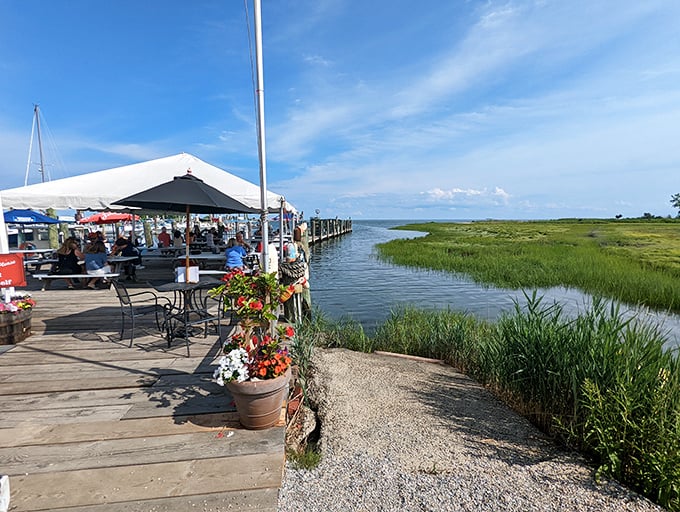 Nature's perfect dining room – where salt marshes, blue skies, and the gentle lapping of water create the ideal backdrop for seafood feasting.