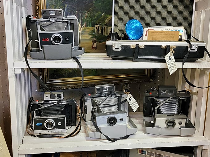 A photographer's dream—vintage Polaroids and folding cameras that captured America's memories long before Instagram filters existed. Each comes with its own mechanical symphony.