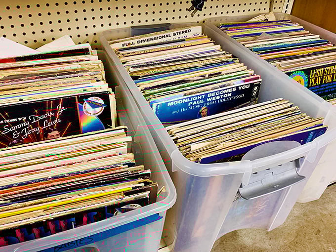 Vinyl enthusiasts, prepare to dig! These crates hold forgotten albums and hidden gems waiting for their second spin.