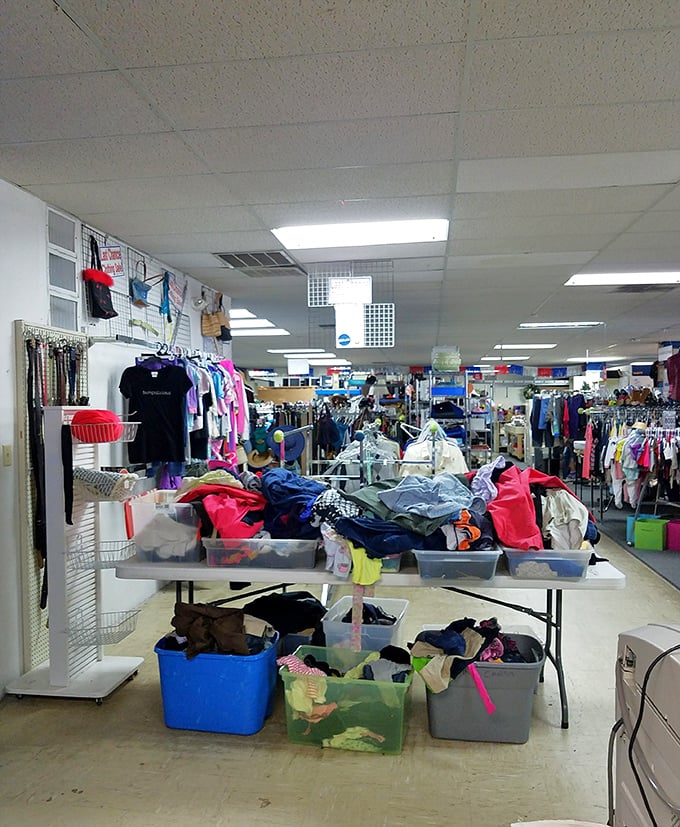 Organized chaos at its finest—where today's "just browsing" can quickly transform into tomorrow's "look what I scored for next to nothing!"