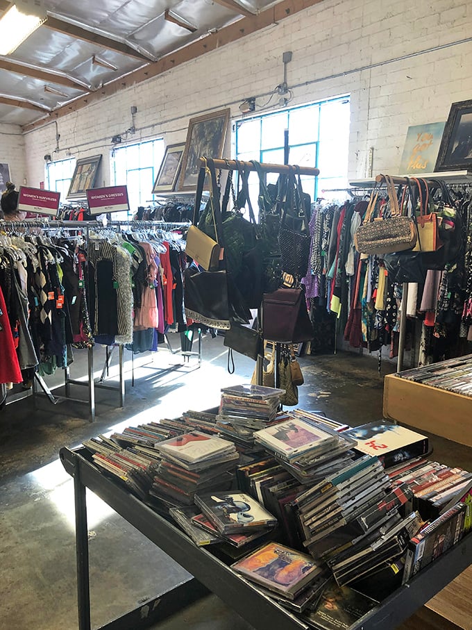 Vinyl records and handbags share space in this corner of curated chaos, where media and fashion treasures await the discerning hunter-gatherer.