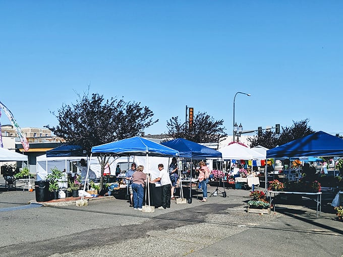 Aberdeen's Sunday Market connects you with local vendors and fresh produce, supporting neighbors while filling your shopping bags sensibly.