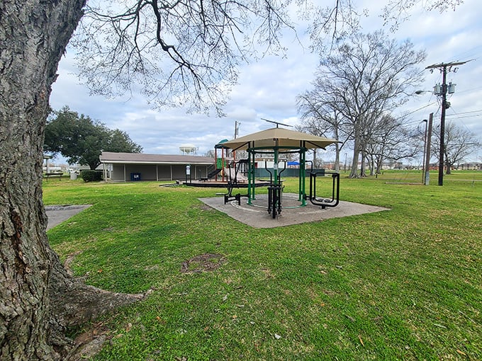This neighborhood park's exercise equipment proves staying fit in retirement doesn't require expensive gym memberships.