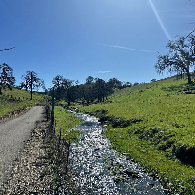 Amador Creek Road winds alongside nature's soundtrack—a babbling brook that's been serenading travelers for centuries.