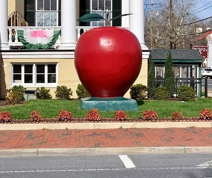 Spring flowers complement the apple's vibrant red, creating a picturesque scene that celebrates Winchester's agricultural heritage.
