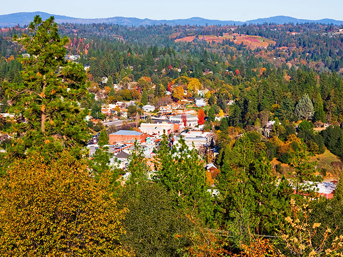 Fall foliage paints Placerville in nature's watercolors. This aerial view showcases why leaf-peeping isn't just for New Englanders with trust funds.