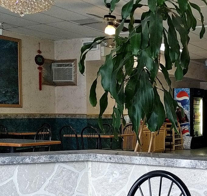 Houseplants stand sentinel in the dining room, adding a touch of life to a space where food, not décor, rightfully takes center stage.