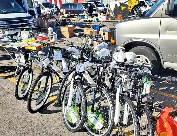 Bicycle brigade lined up like eager steeds waiting for new riders. Two-wheeled freedom machines at a fraction of retail—just add adventure!
