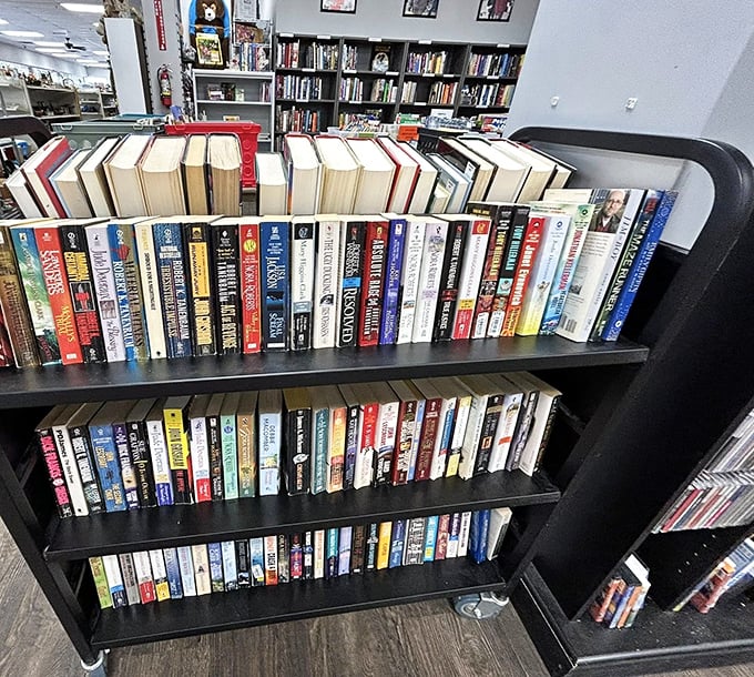 Bookworm's dream! Enough reading material to survive both a long winter and the inevitable zombie apocalypse—all for less than one new hardcover.