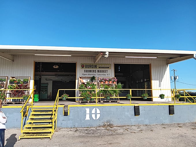 Burgin Farms Market offers locally grown produce without big-box store prices. The yellow steps lead to vegetable nirvana—where tomatoes actually taste like tomatoes should.