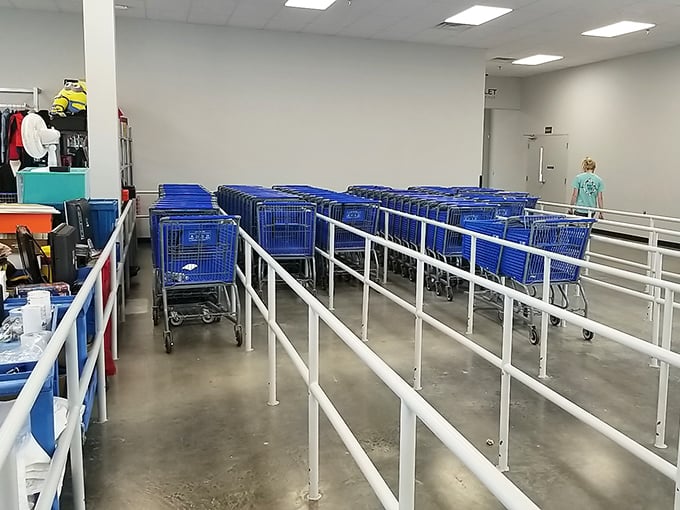 Cart corrals and queue lines bring order to the treasure-hunting chaos. Preparation is key for serious outlet shoppers.