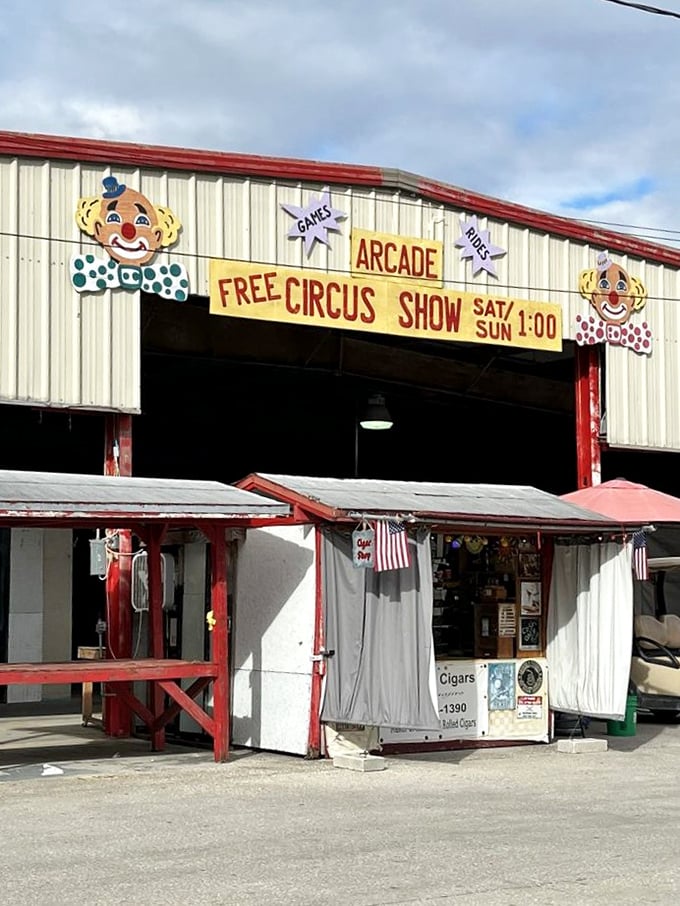 Step right up! The free circus show sign promises entertainment beyond shopping – because every great market needs a sideshow of delights.