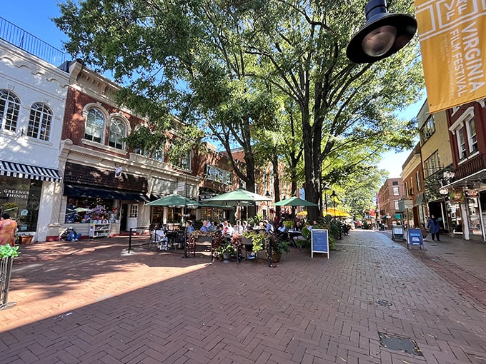 Outdoor dining under dappled sunlight – Charlottesville's Downtown Mall perfects the art of people-watching while enjoying a leisurely meal.