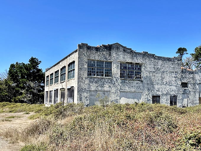 This abandoned building whispers tales of Bolinas past – a ghost of industry now surrendering peacefully to coastal elements.