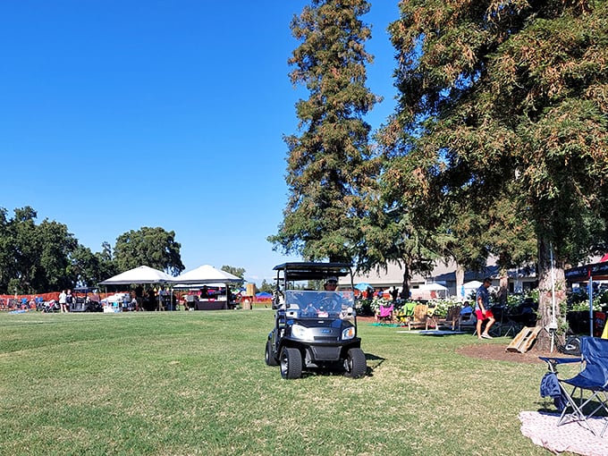 Open green spaces host community events where people actually talk to each other instead of staring at their phones—revolutionary concept, I know.