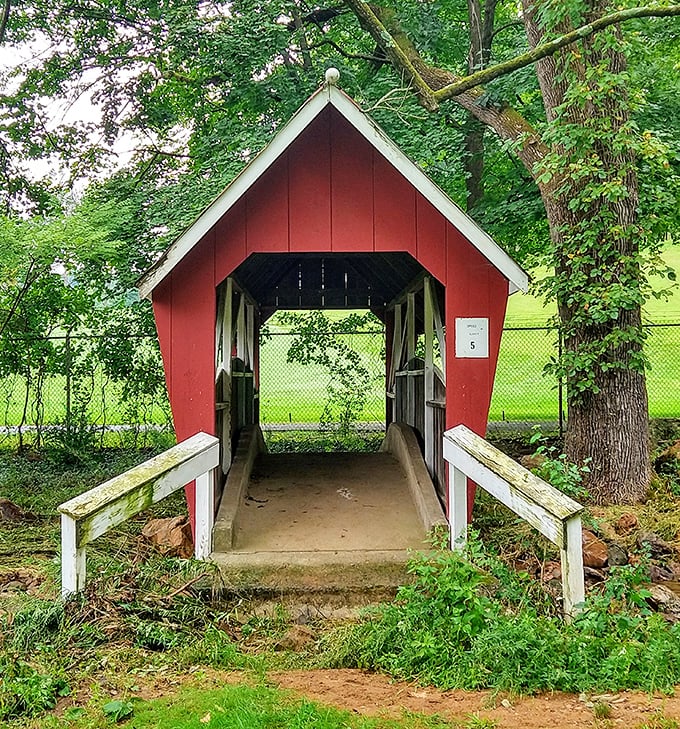 This charming covered bridge adds a touch of classic Pennsylvania charm to the grounds. Like a rustic red carpet leading to natural wonders.